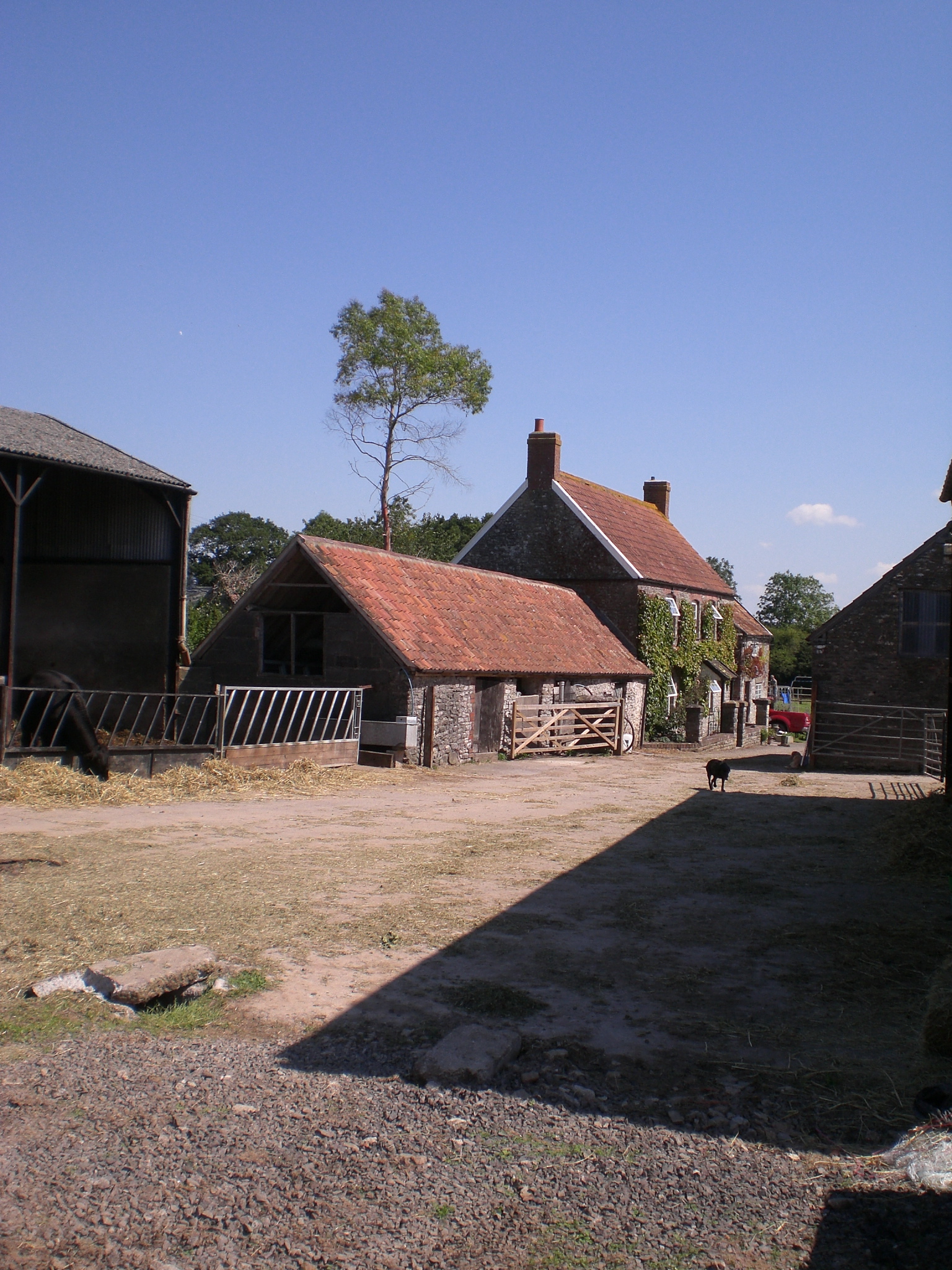 ‘Meet the Farmers’ Episode 5. Luke Hasell and Herons Green Farm