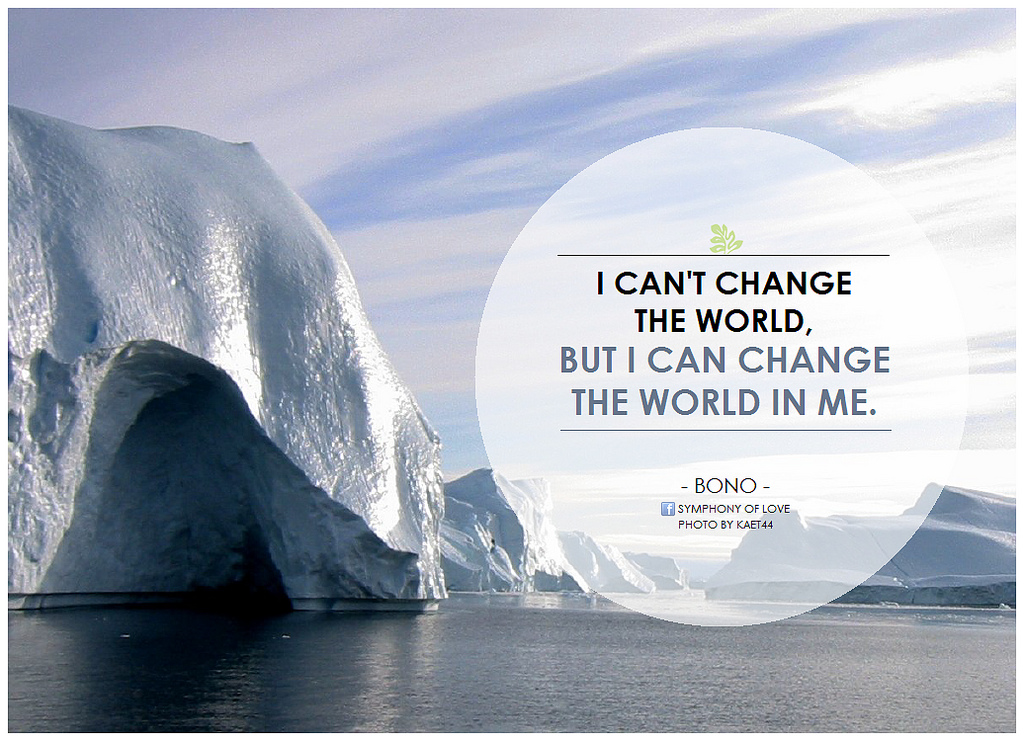 Can Small Changes Make a Big Impact on the Environment? – Guest post by ...