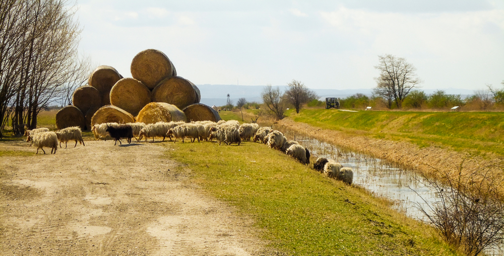 Photography in the Countryside (Rural Photography) – Guest post by Max ...
