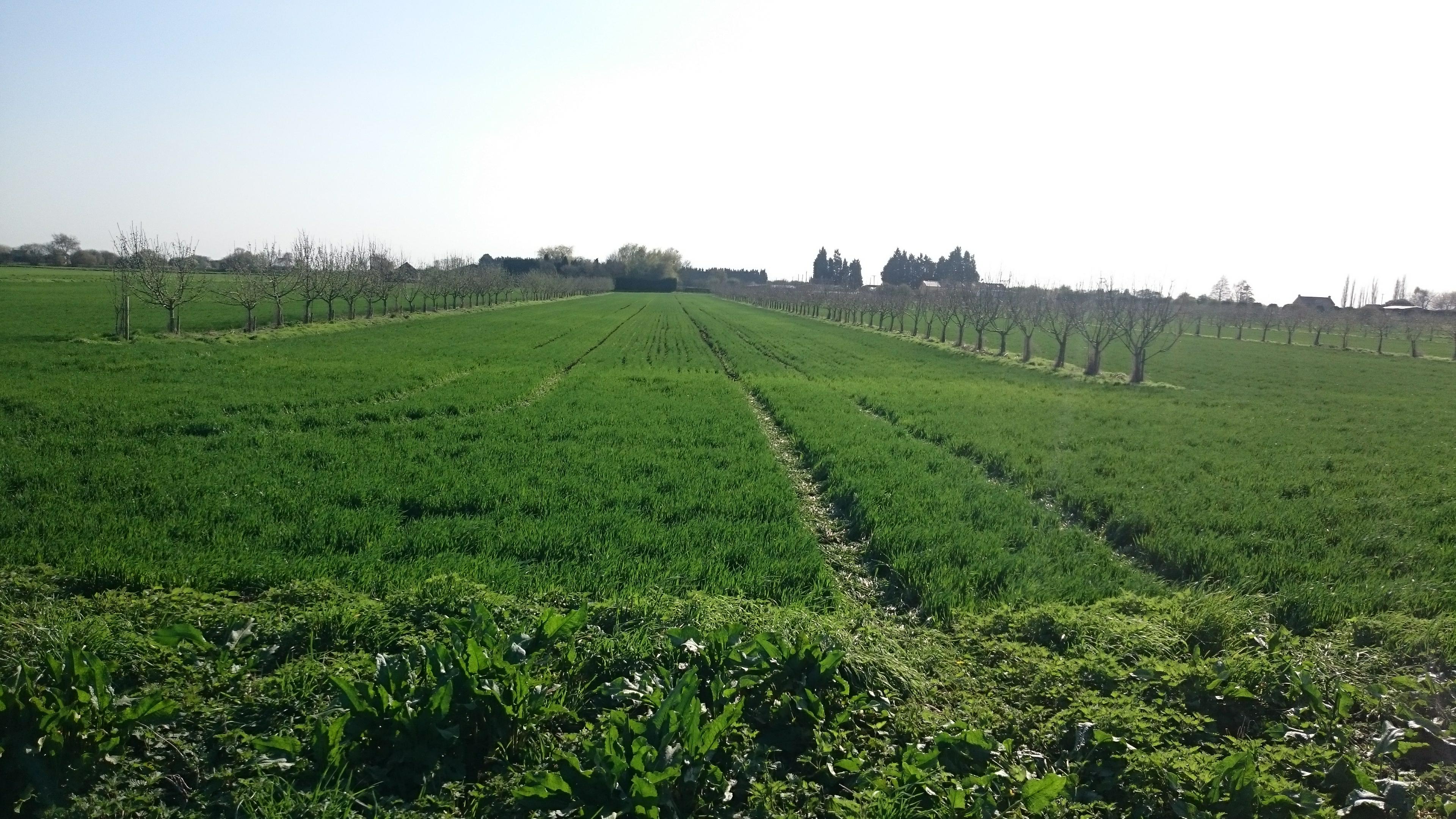 ‘Meet the Farmers’ – episode 17 – Stephen Briggs at Whitehall Farm ...