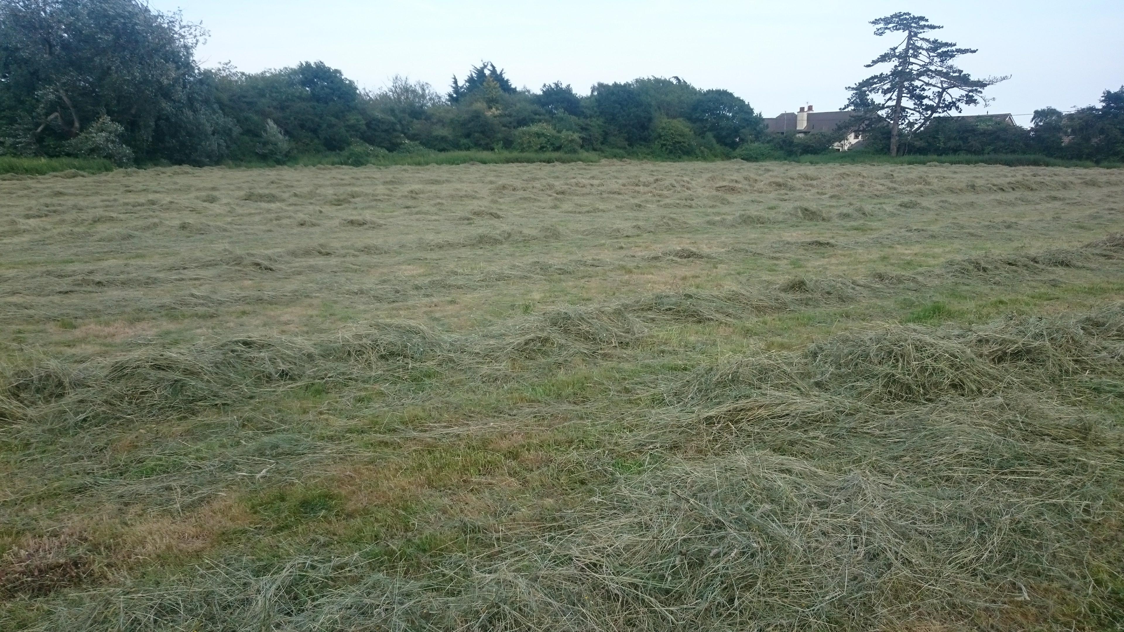 Making hay while the sun shines